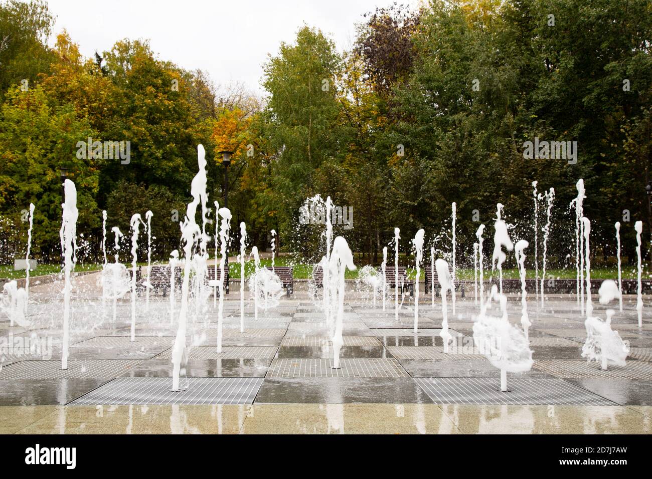 A stream of water splashes on the ground. A group of fountains spouting ...