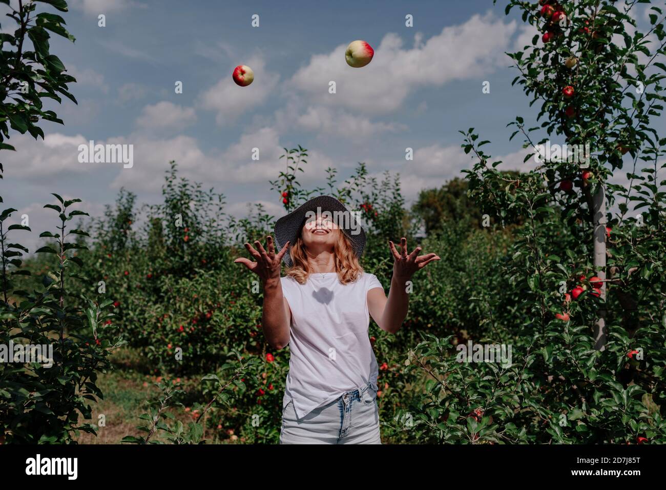 Mid adult woman throwing apples in air while standing amidst trees at ...