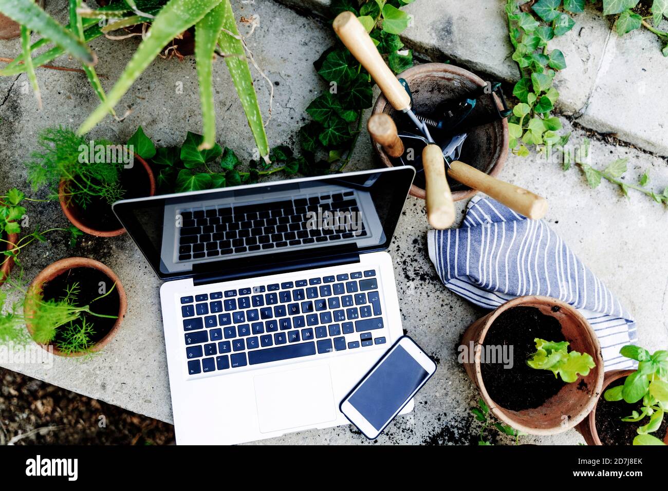 Back view angle hi-res stock photography and images - Alamy