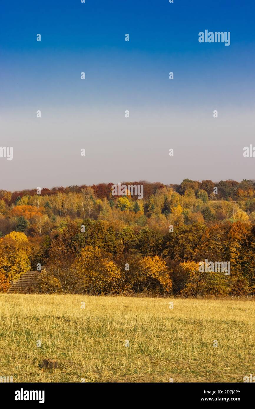 Bright yellow landscape hi-res stock photography and images - Alamy