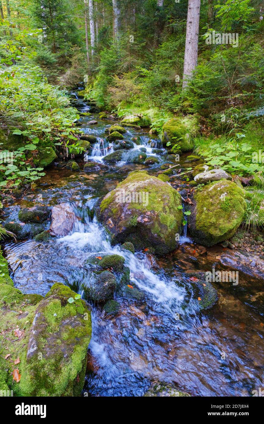 Sollerbach river flowing through Bavarian Forest Stock Photo - Alamy