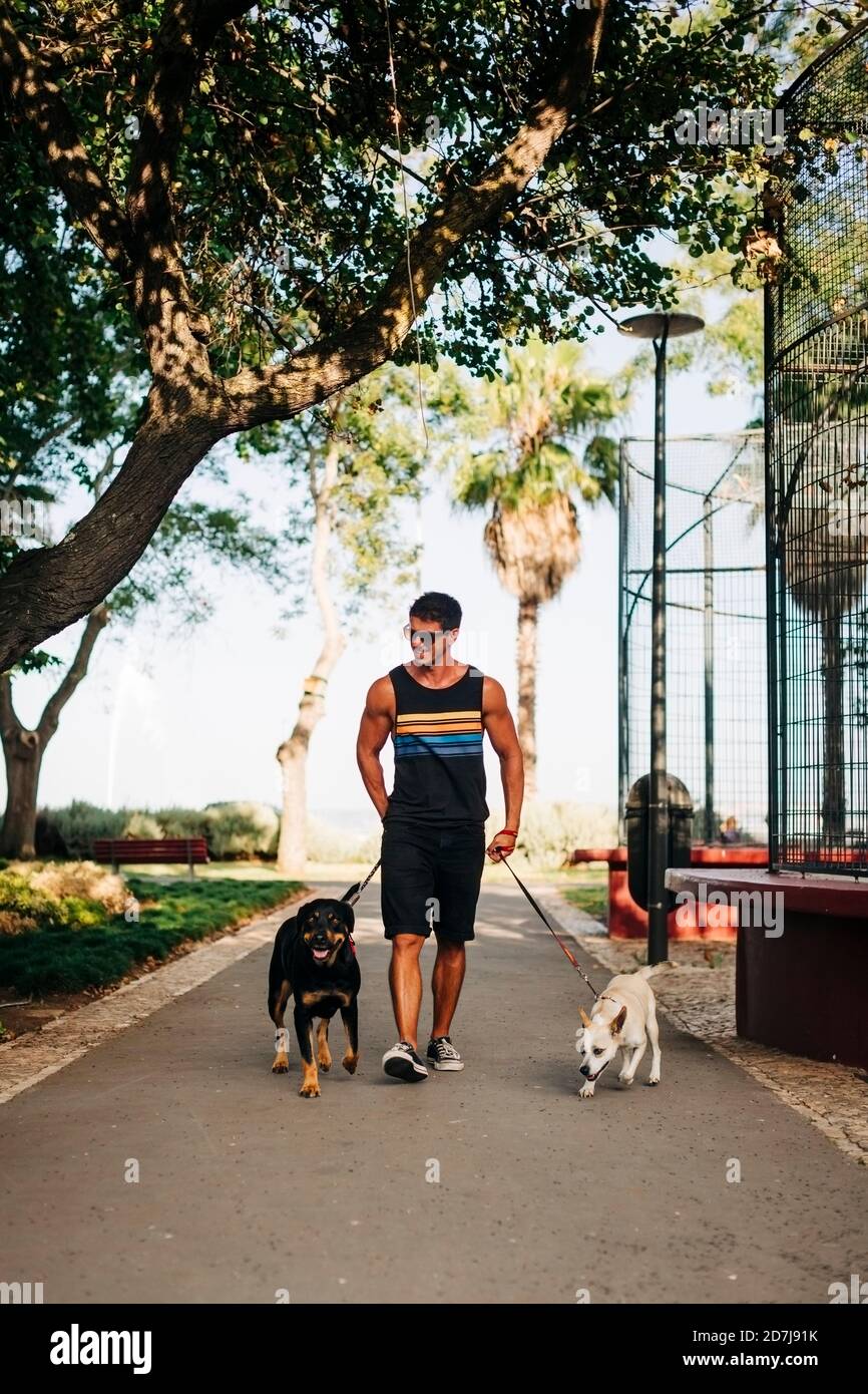 Man walking dog in park outdoors hi-res stock photography and images ...