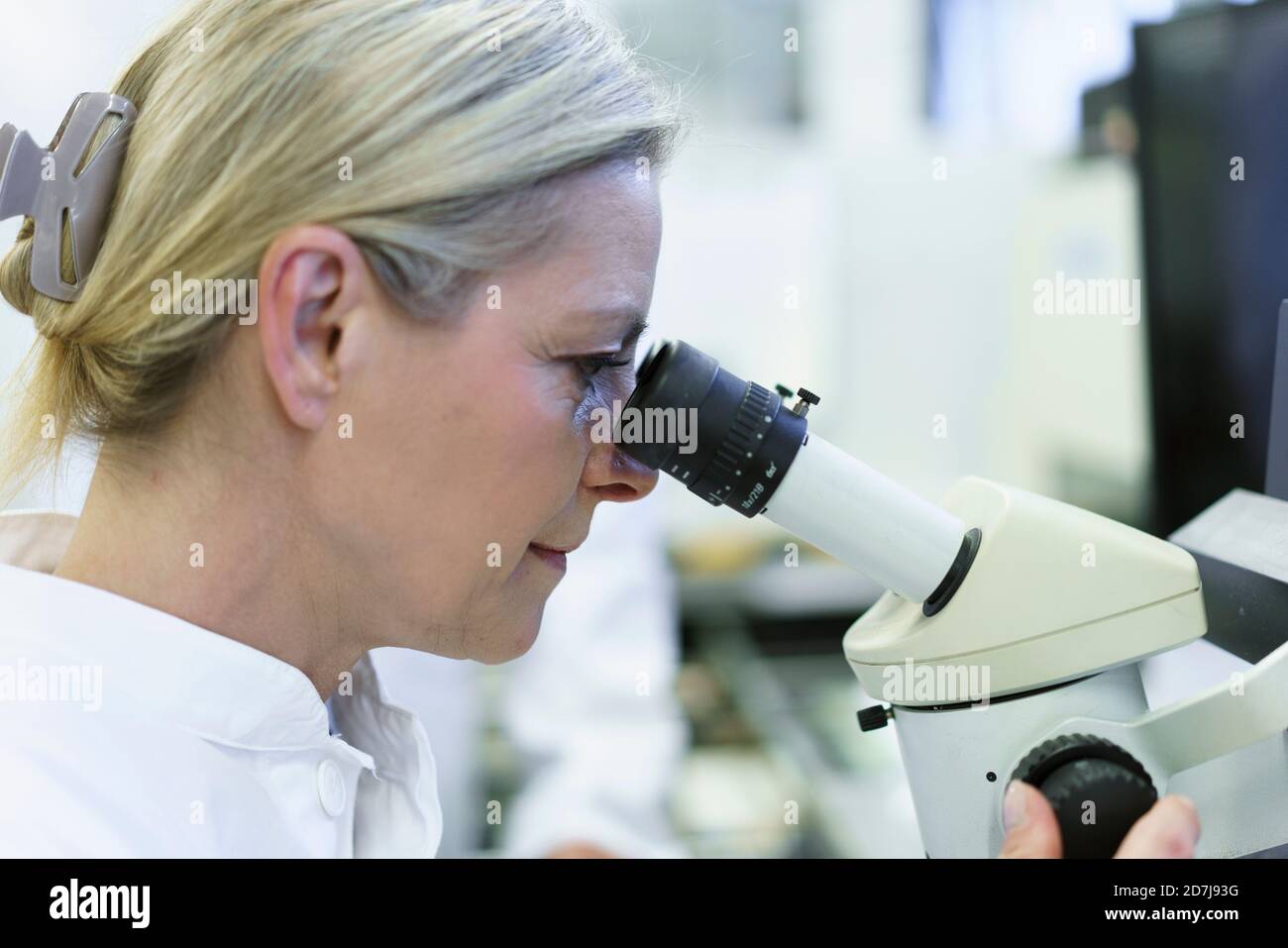 Blond female scientist looking through microscope at illuminated ...