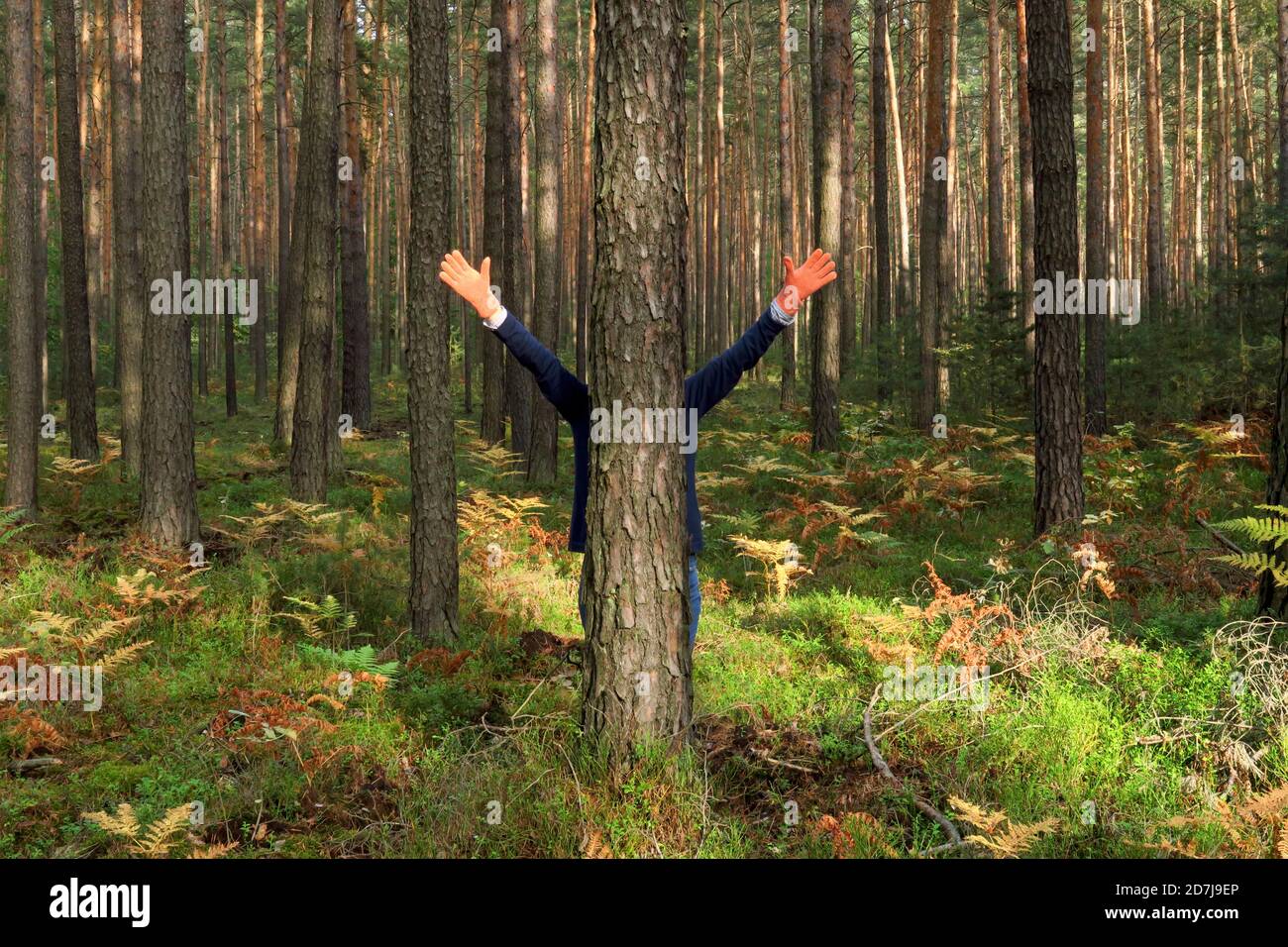 Mature woman with arms outstretched standing behind tree trunk in ...