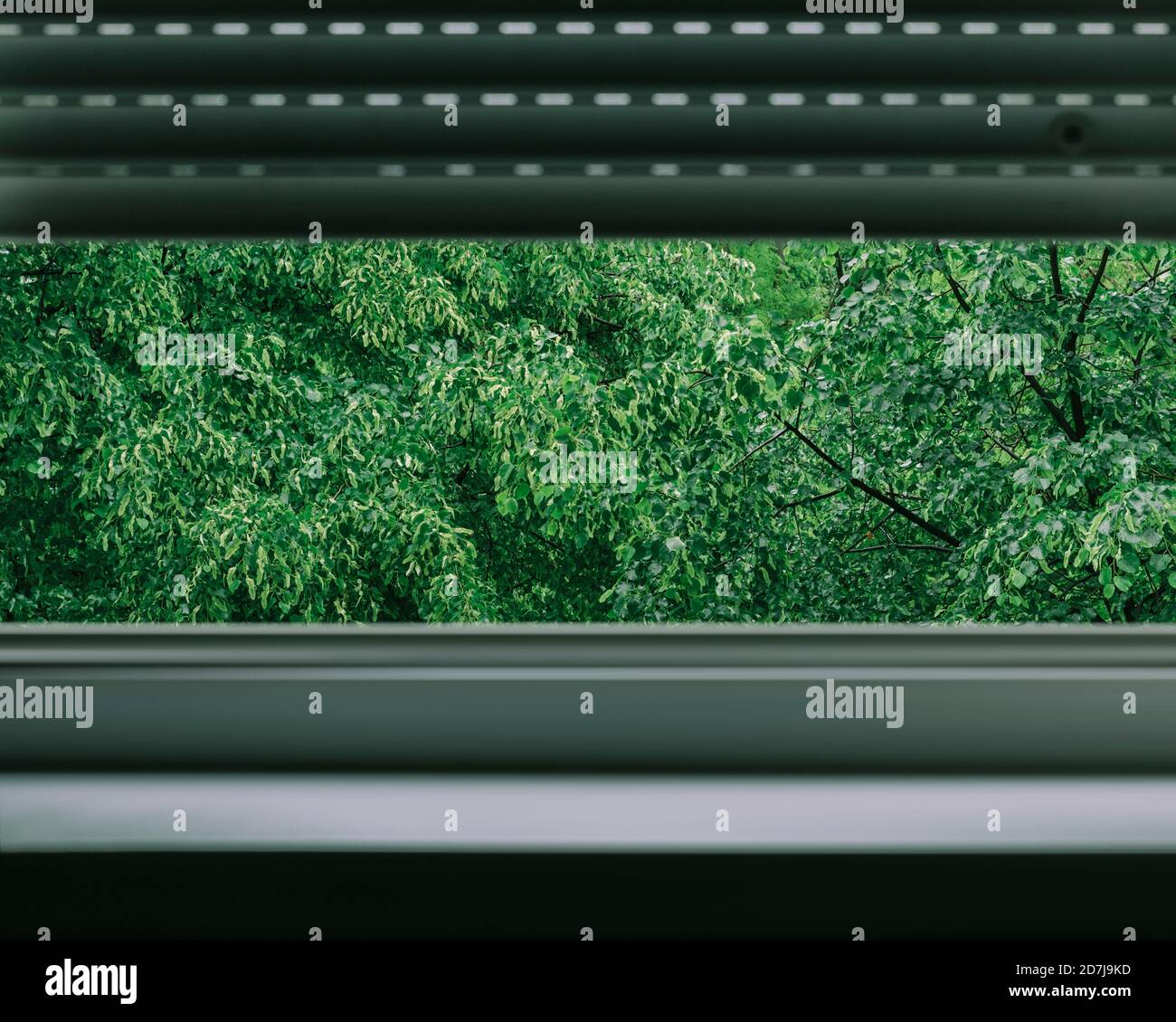 Trees through window hi-res stock photography and images - Alamy