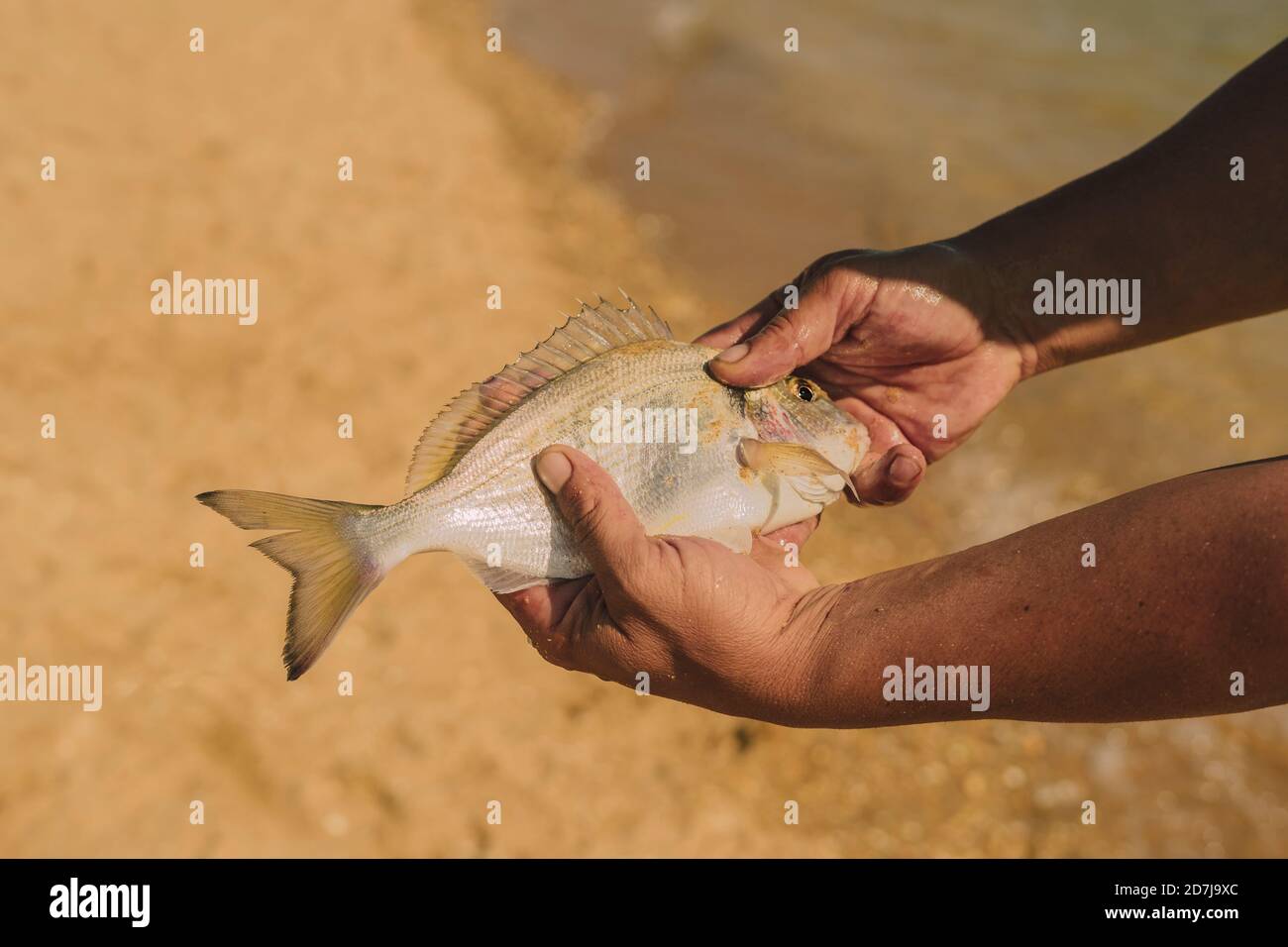 Hands close up on fishing hi-res stock photography and images - Alamy