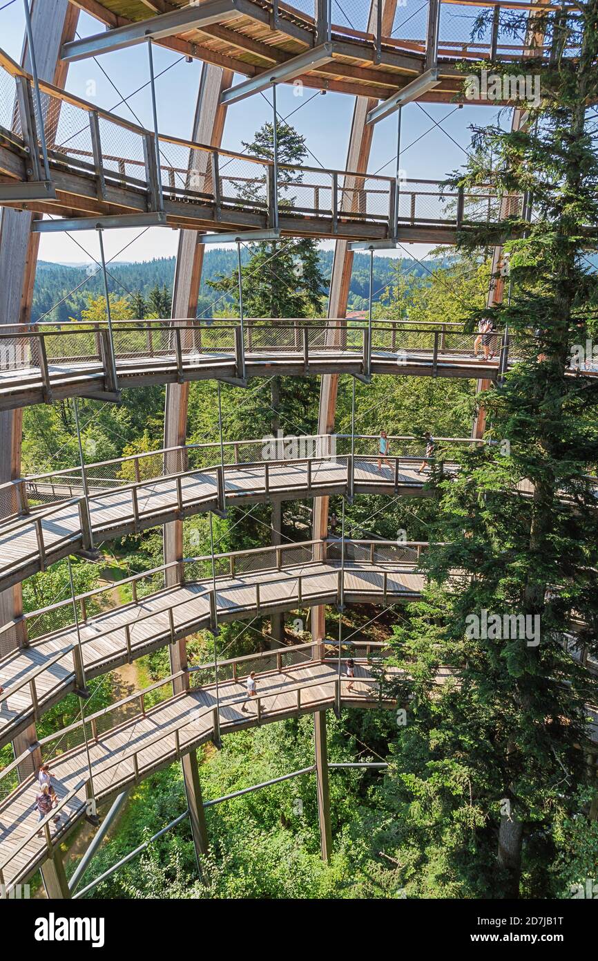 Treetop walk hi-res stock photography and images - Alamy