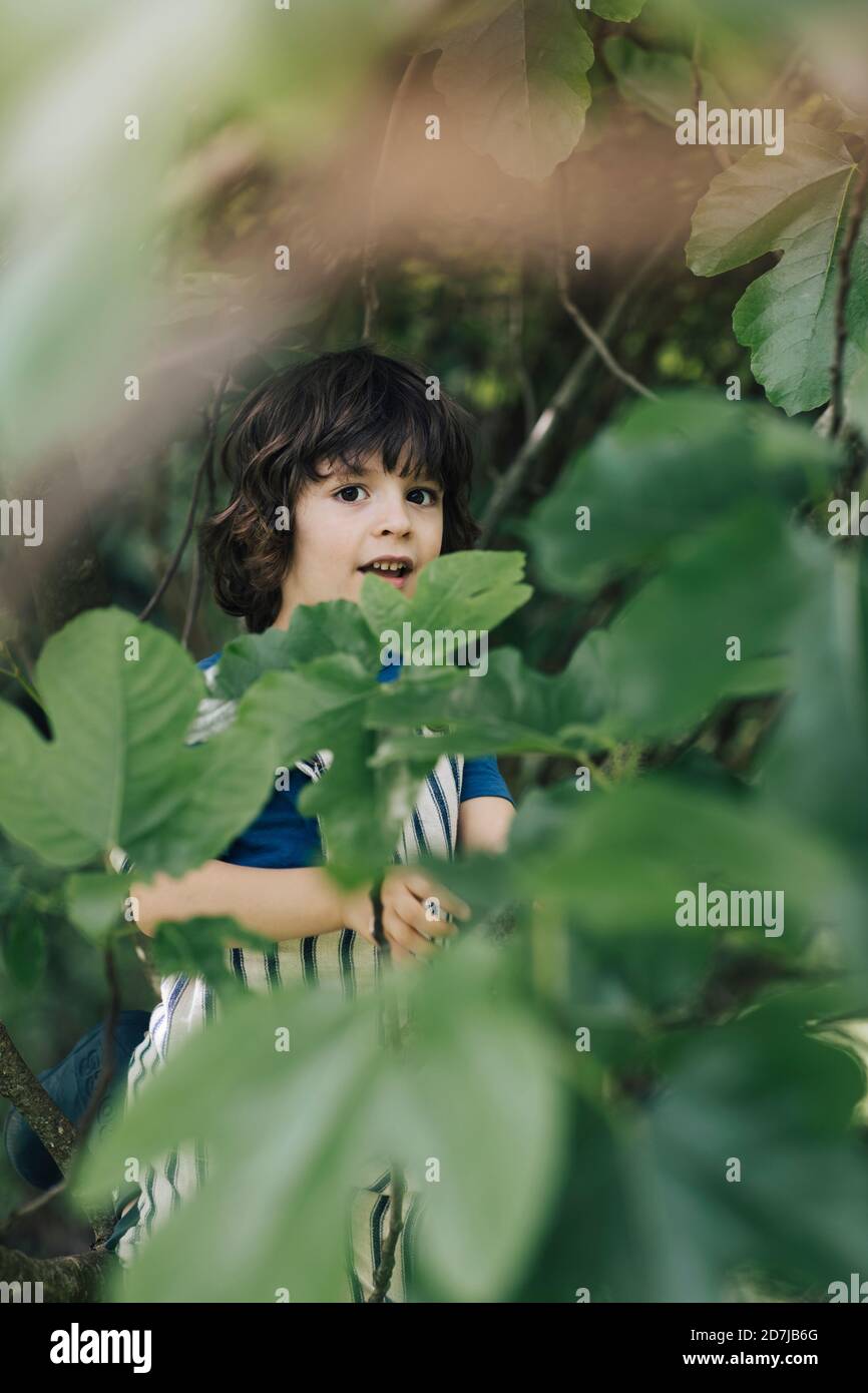Cute boy standing while hiding behind leaf of tree in garden Stock ...