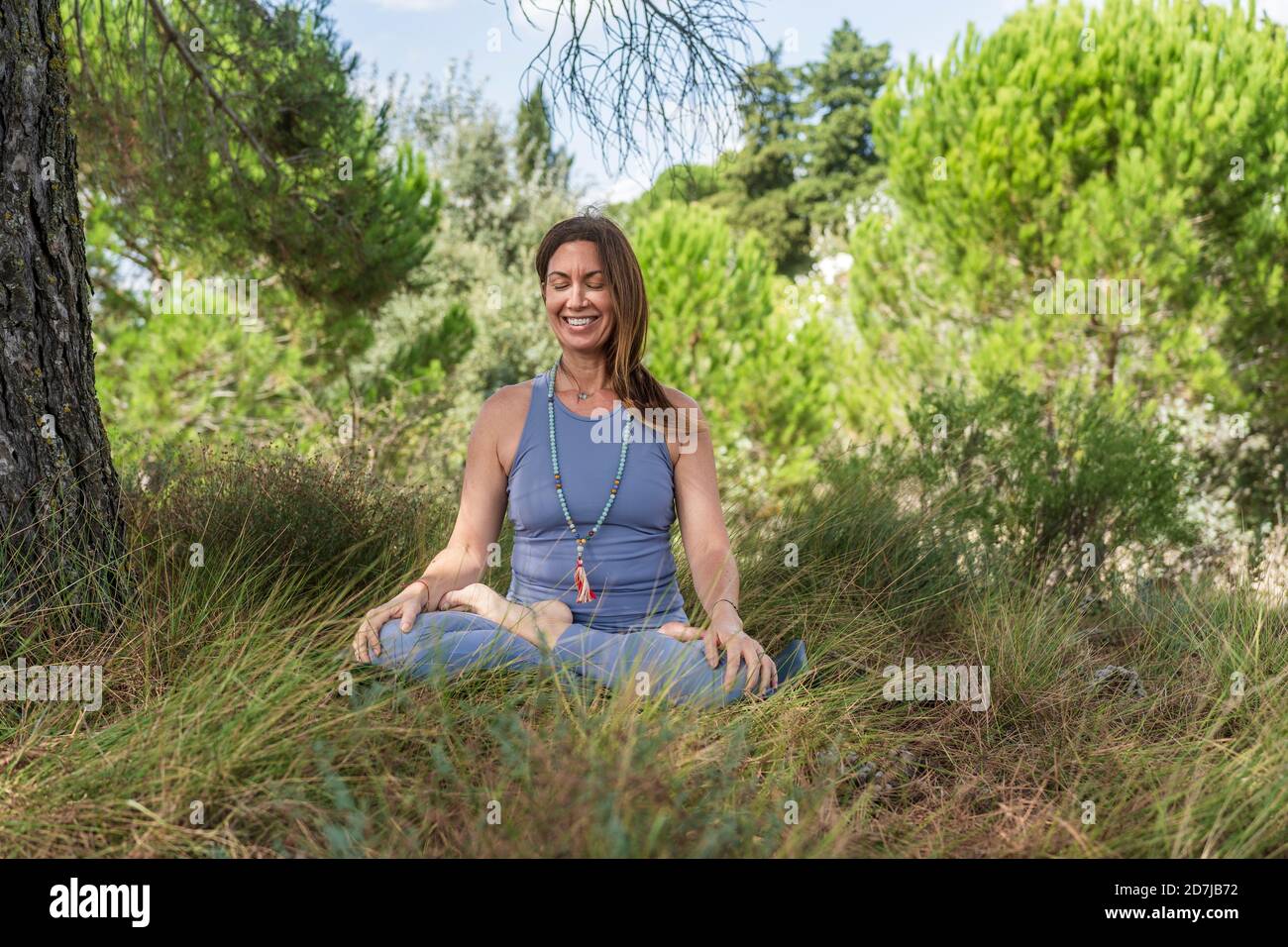 Shadow under tree hi-res stock photography and images - Alamy