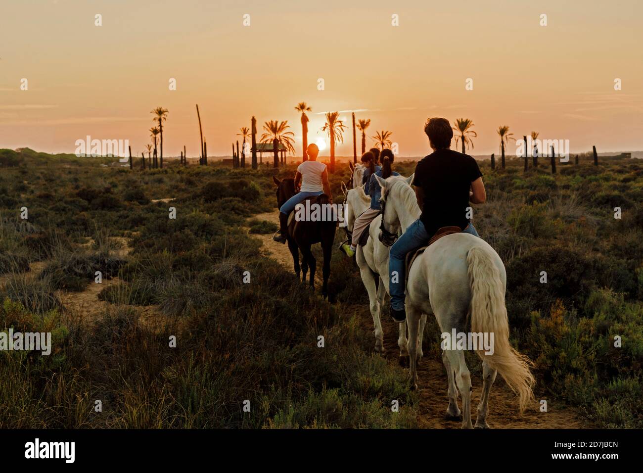 Riding horses at sunset hi-res stock photography and images - Alamy