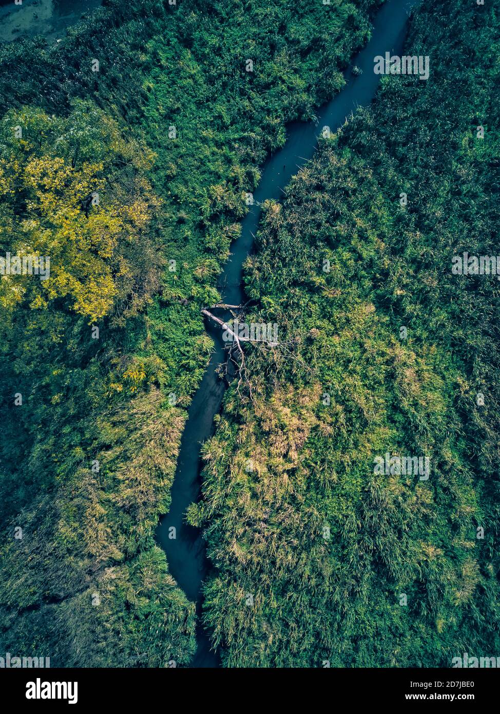 Green color flowing hi-res stock photography and images - Alamy