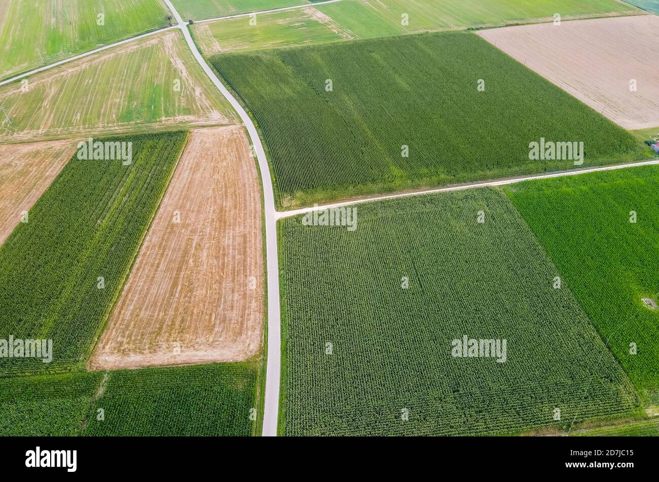 Countryside fields hi-res stock photography and images - Alamy