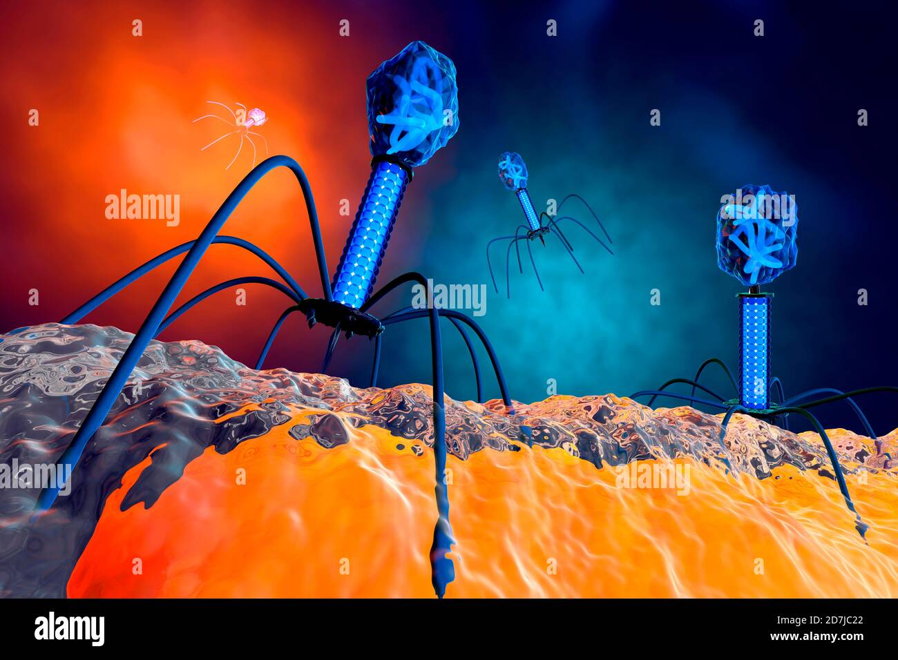 Ultracentrifuge Bacteriophage at Melvin Slater blog