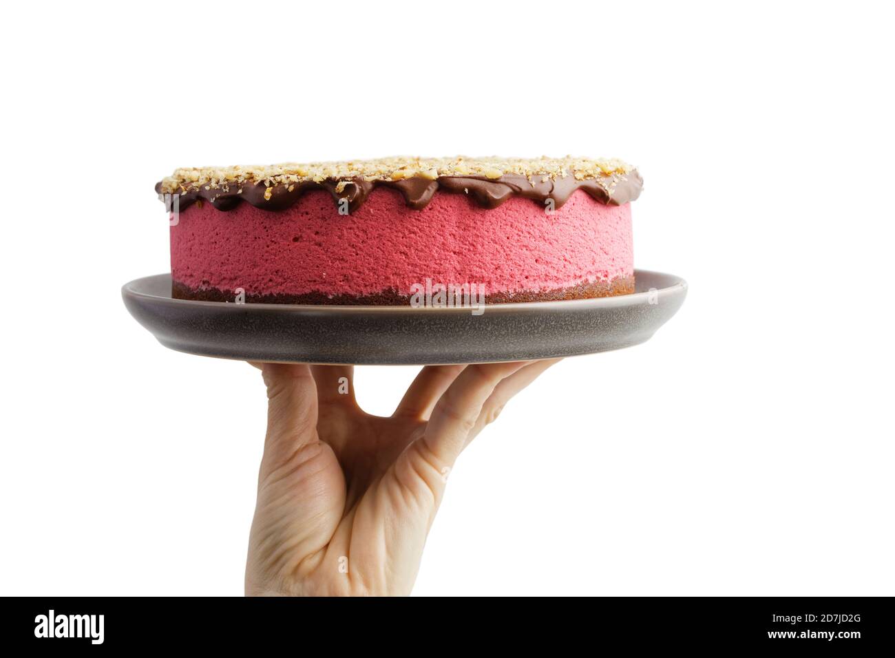 Human hand holding homemade raspberry cheesecake sprinkled with walnuts ...