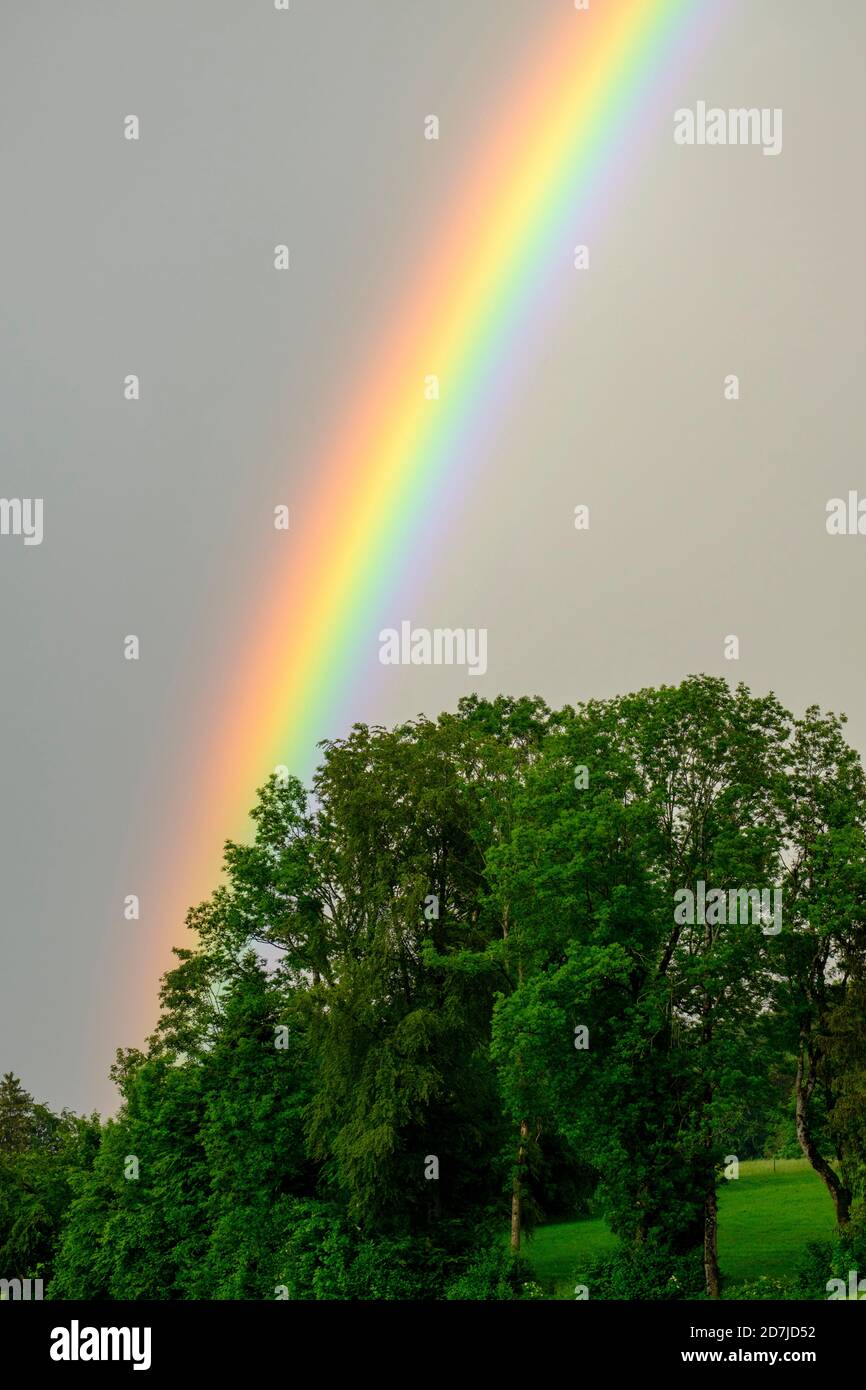 Arching trees hi-res stock photography and images - Alamy