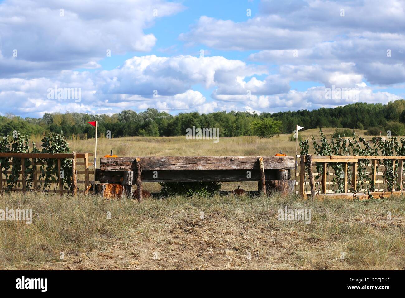 Jumping horse log obstacle on cross country course without riders as a ...