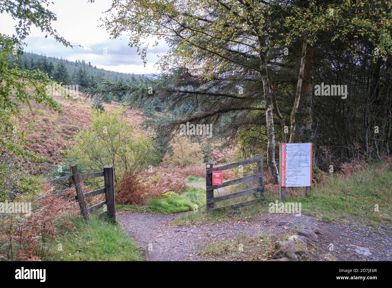 Kielder castle maze hi-res stock photography and images - Alamy