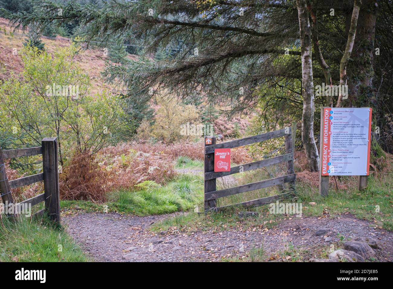 Mountain bike trails at Kielder, Northumberland, England, UK Stock ...