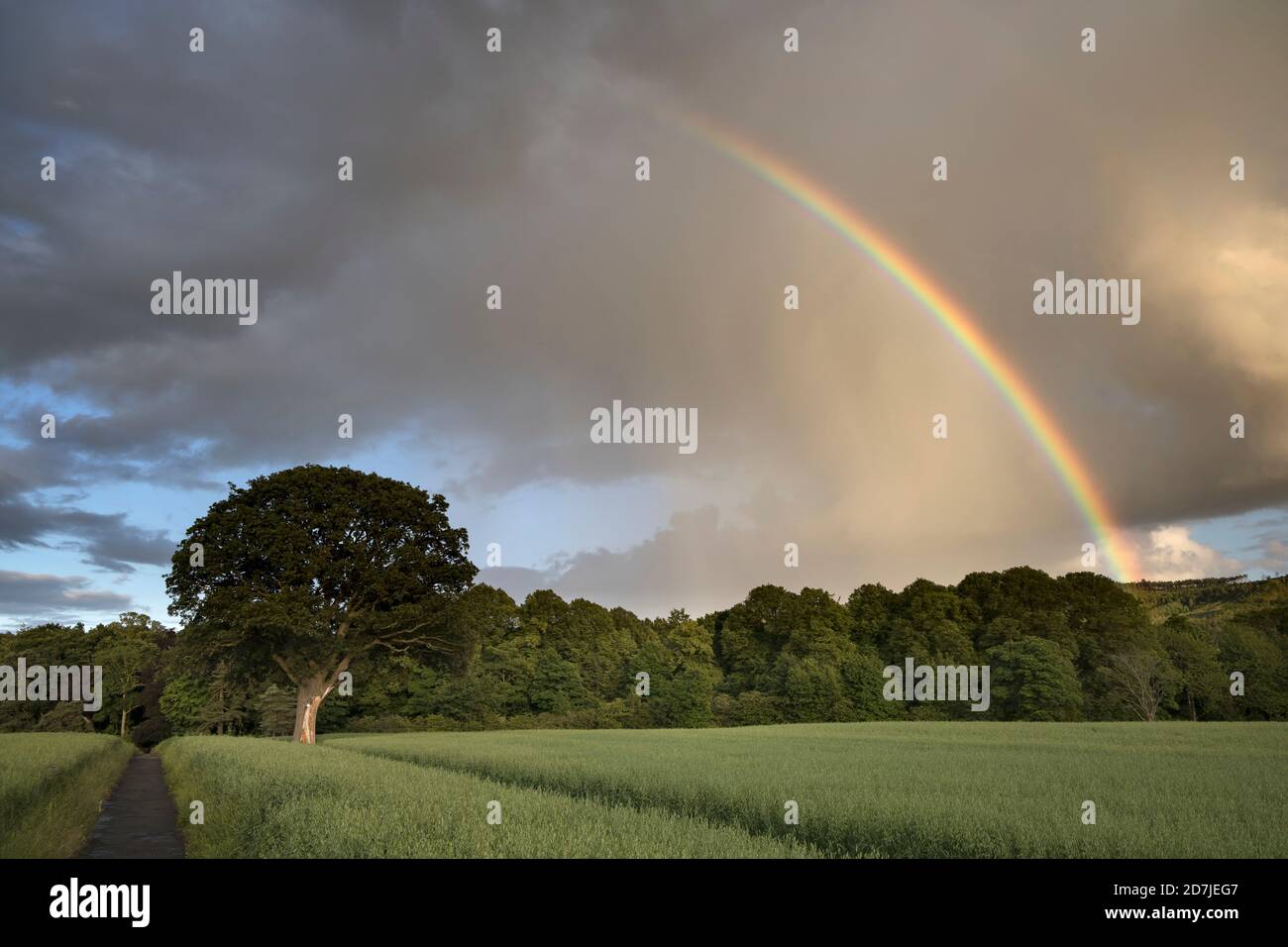 Summer Rainbow Northern England Stock Photo - Alamy