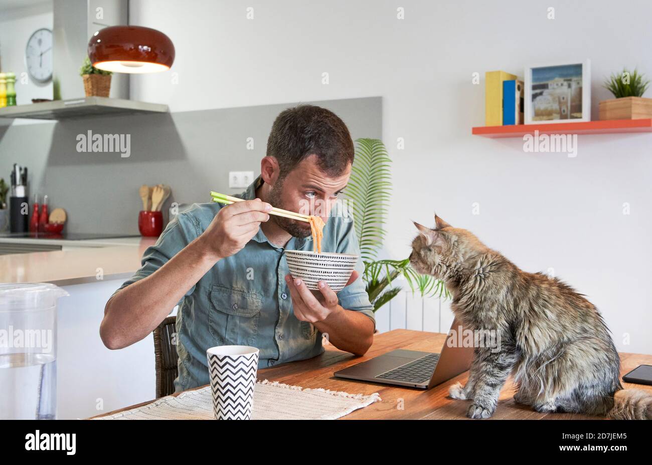 Cat sitting on the table hi-res stock photography and images - Alamy