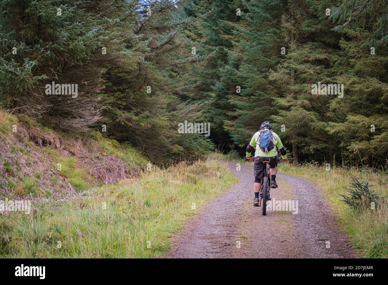 Kielder castle maze hi-res stock photography and images - Alamy