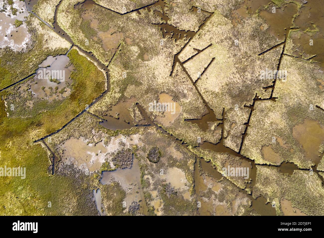 USA, Maryland, Drone view of marshes along Nanticoke River on Eastern ...