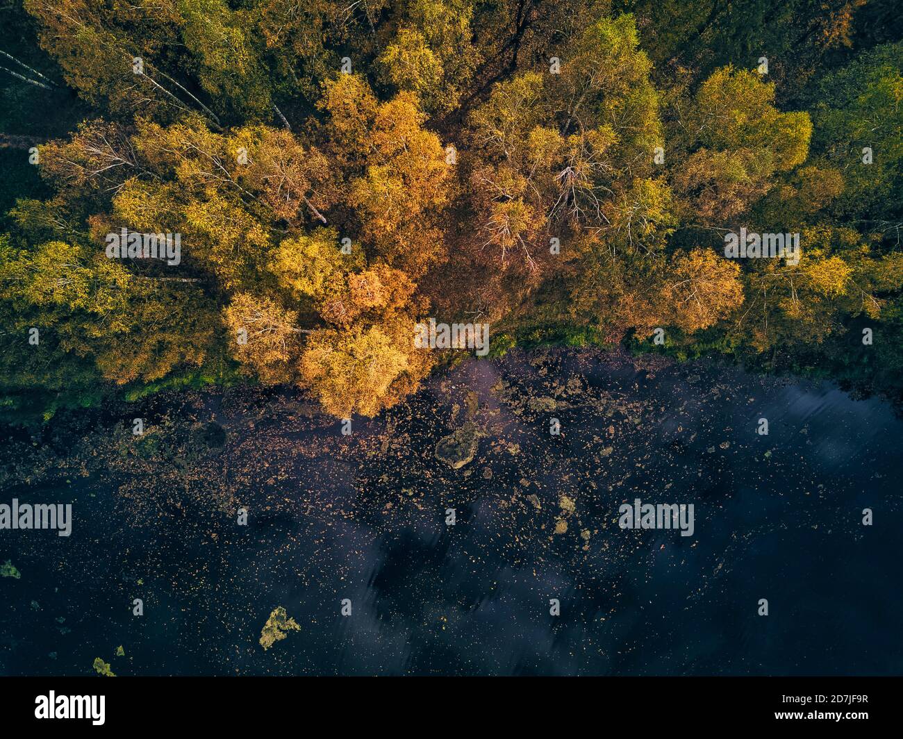 Bethany pond hi-res stock photography and images - Alamy
