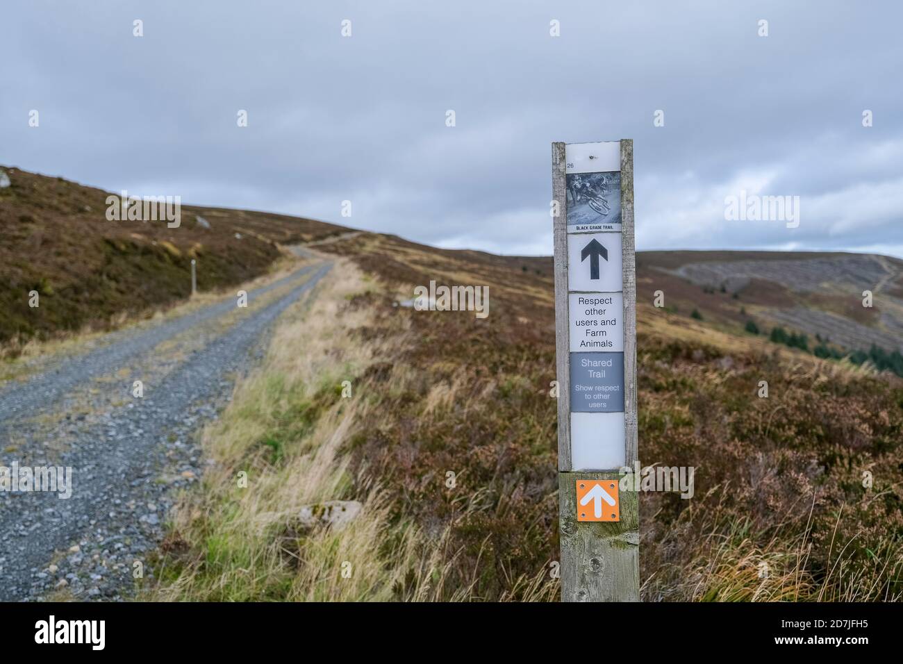 Mountain Bike trails at Kielder Forest, Northumberland, England, UK ...