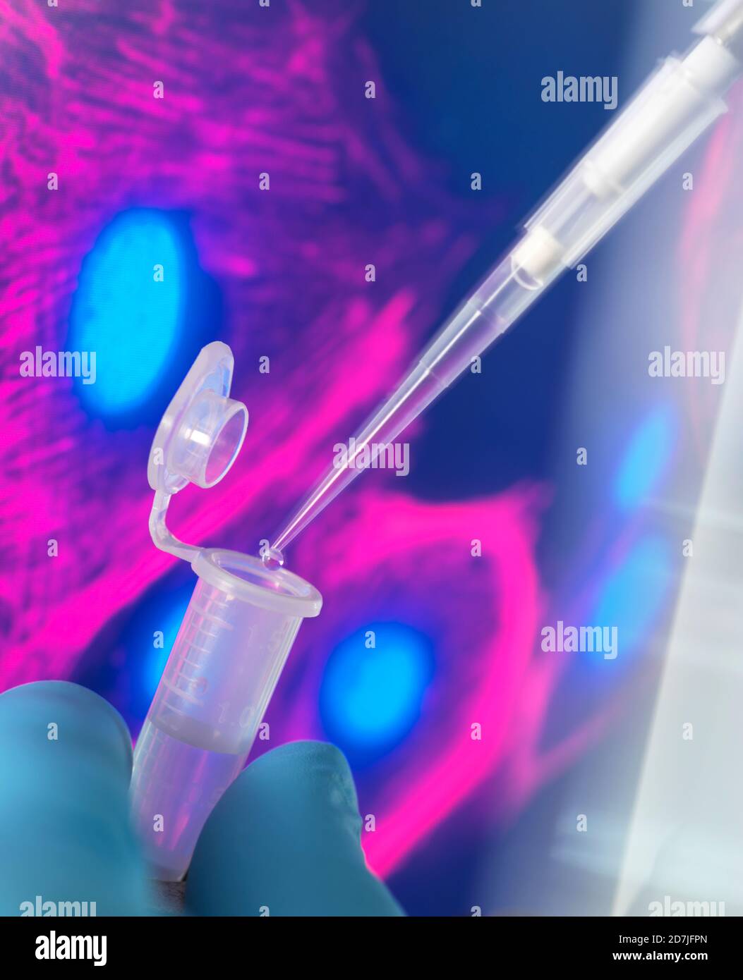 Hand of scientist pipetting sample into vial Stock Photo - Alamy