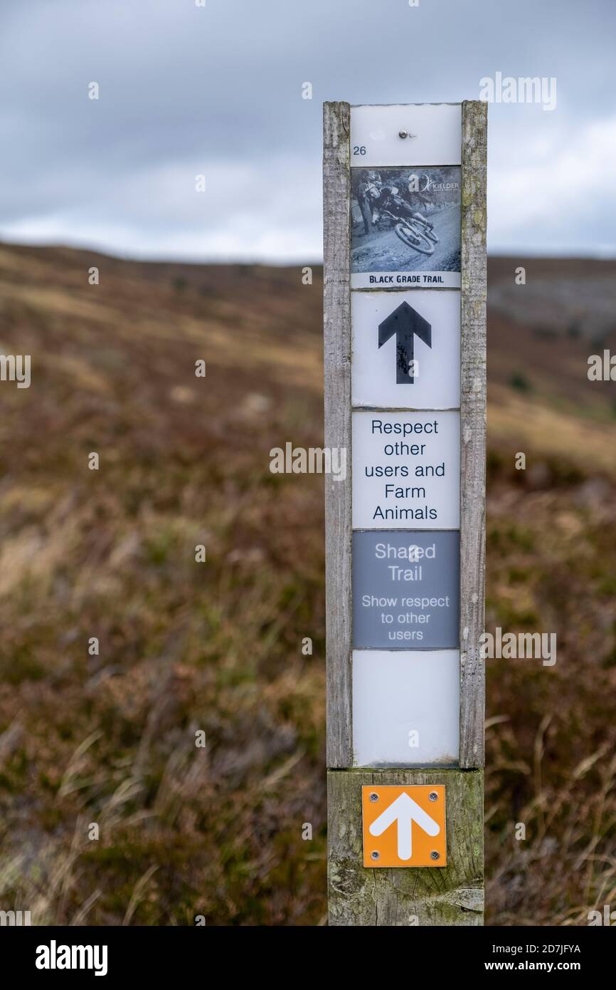 Mountain Bike trails at Kielder Forest, Northumberland, England, UK ...