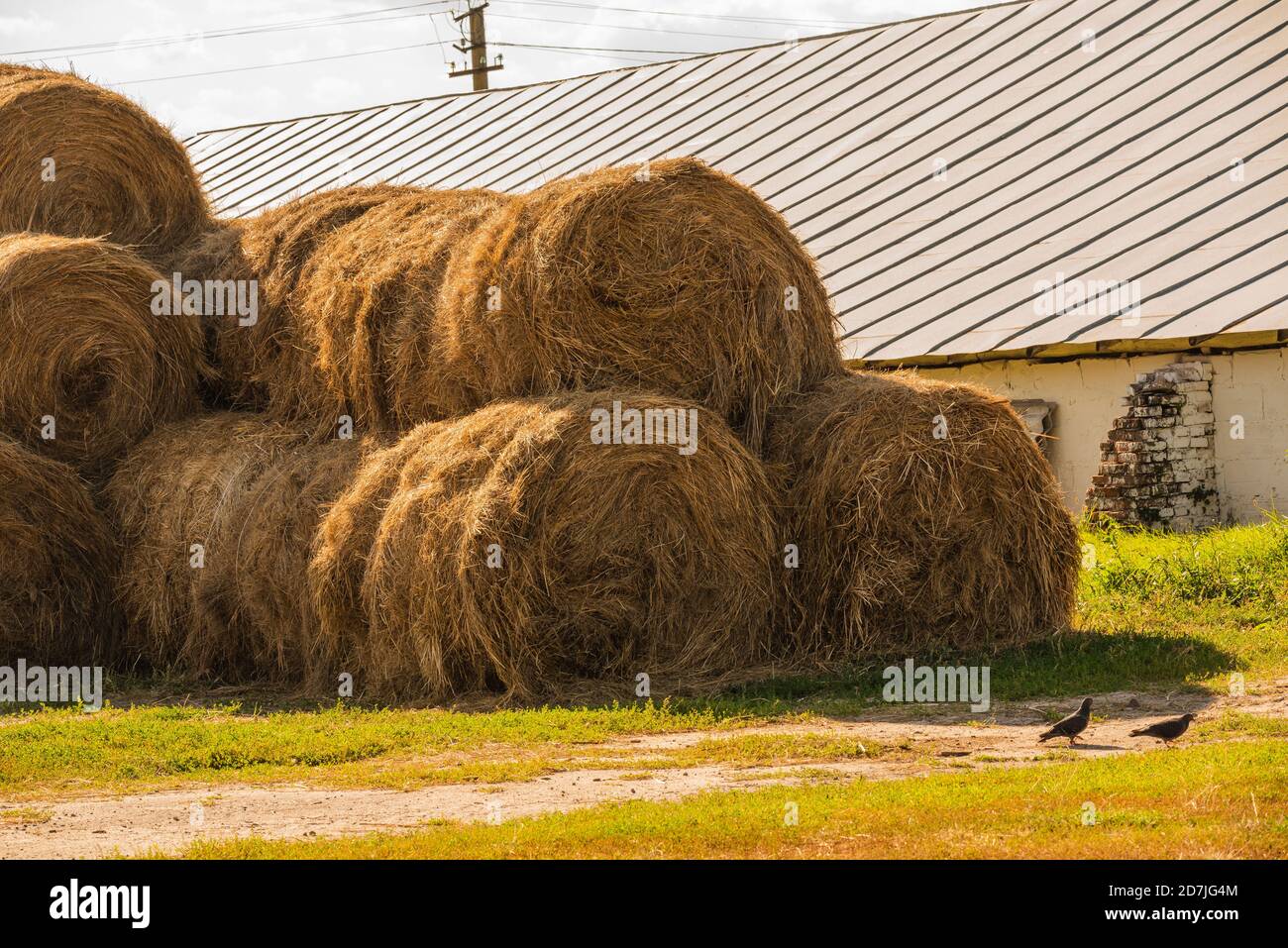 A pyramid of hay with the blue cloudy sky in the background Stock Photo ...