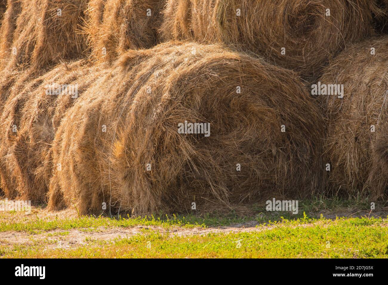 A pyramid of hay with the blue cloudy sky in the background Stock Photo ...