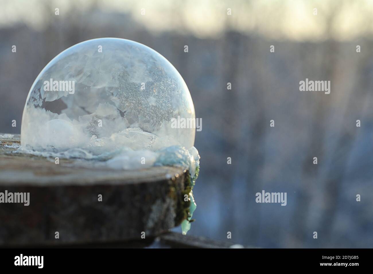 Soap bubbles freeze in the cold. Winter soapy water freezes in the air ...