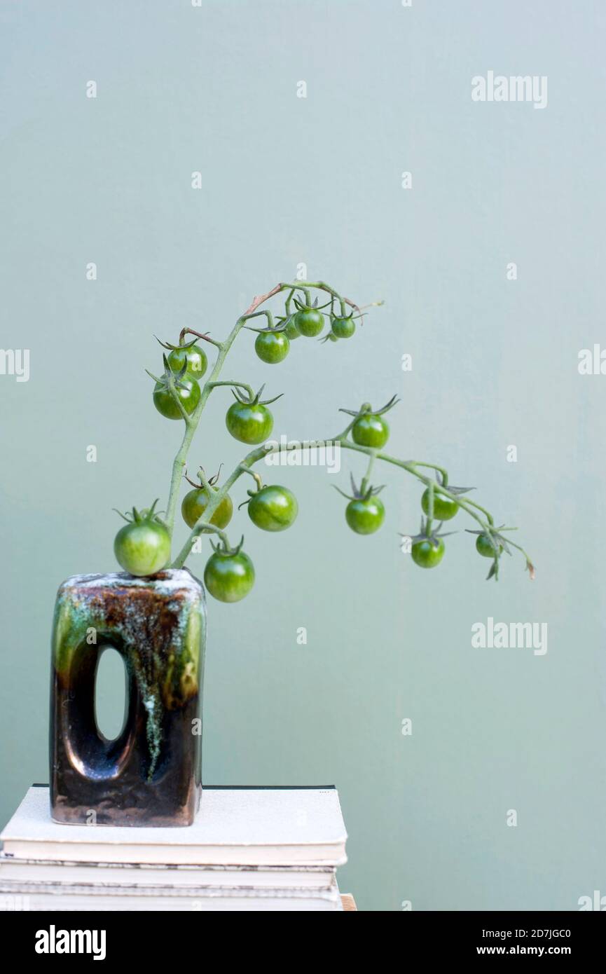 Growing books hi-res stock photography and images - Alamy