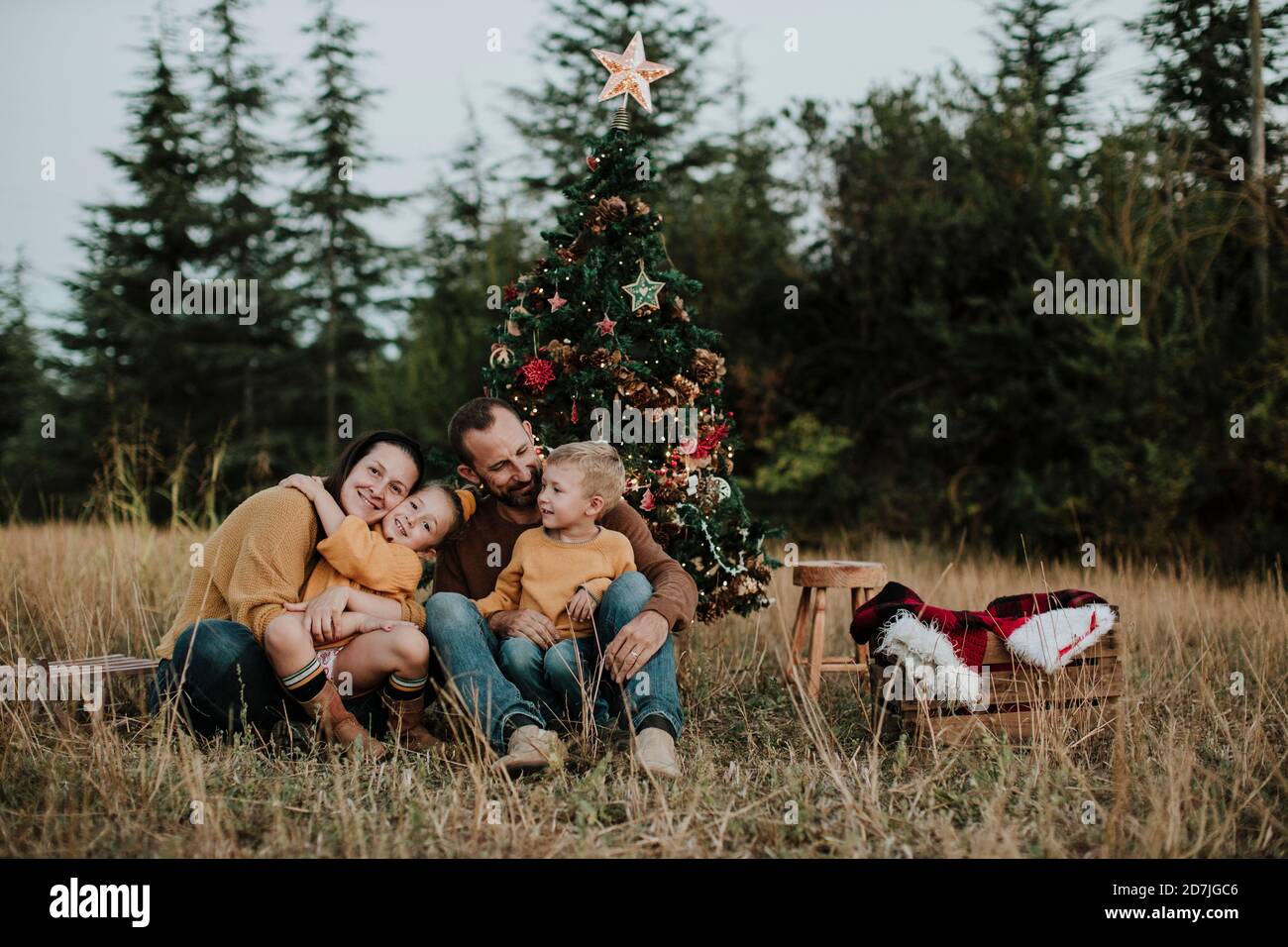 Smiling family sitting by Christmas tree on grassy land at countryside ...