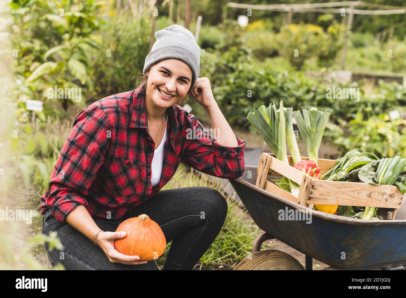 Wheelbarrow vegetable garden gardening hi-res stock photography and ...