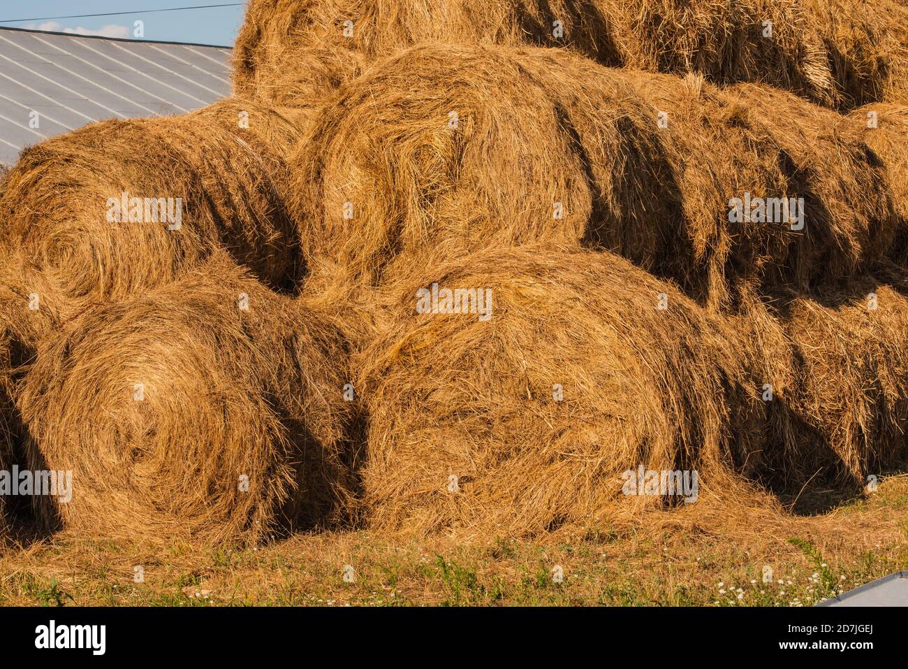 Hay Pyramid High Resolution Stock Photography and Images - Alamy