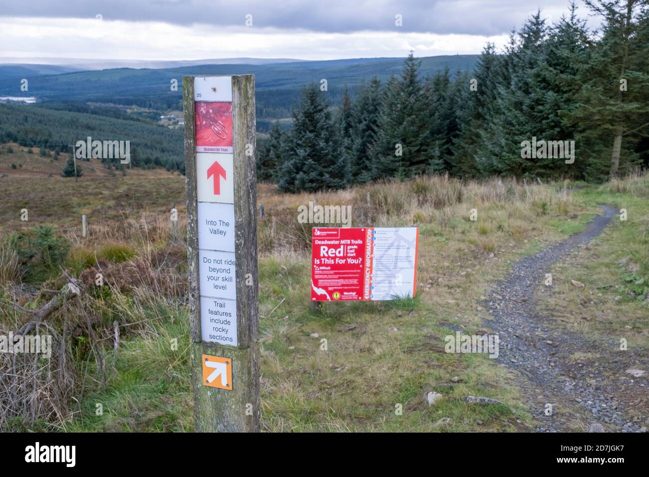 Mountain Bike trails at Kielder Forest, Northumberland, England, UK ...