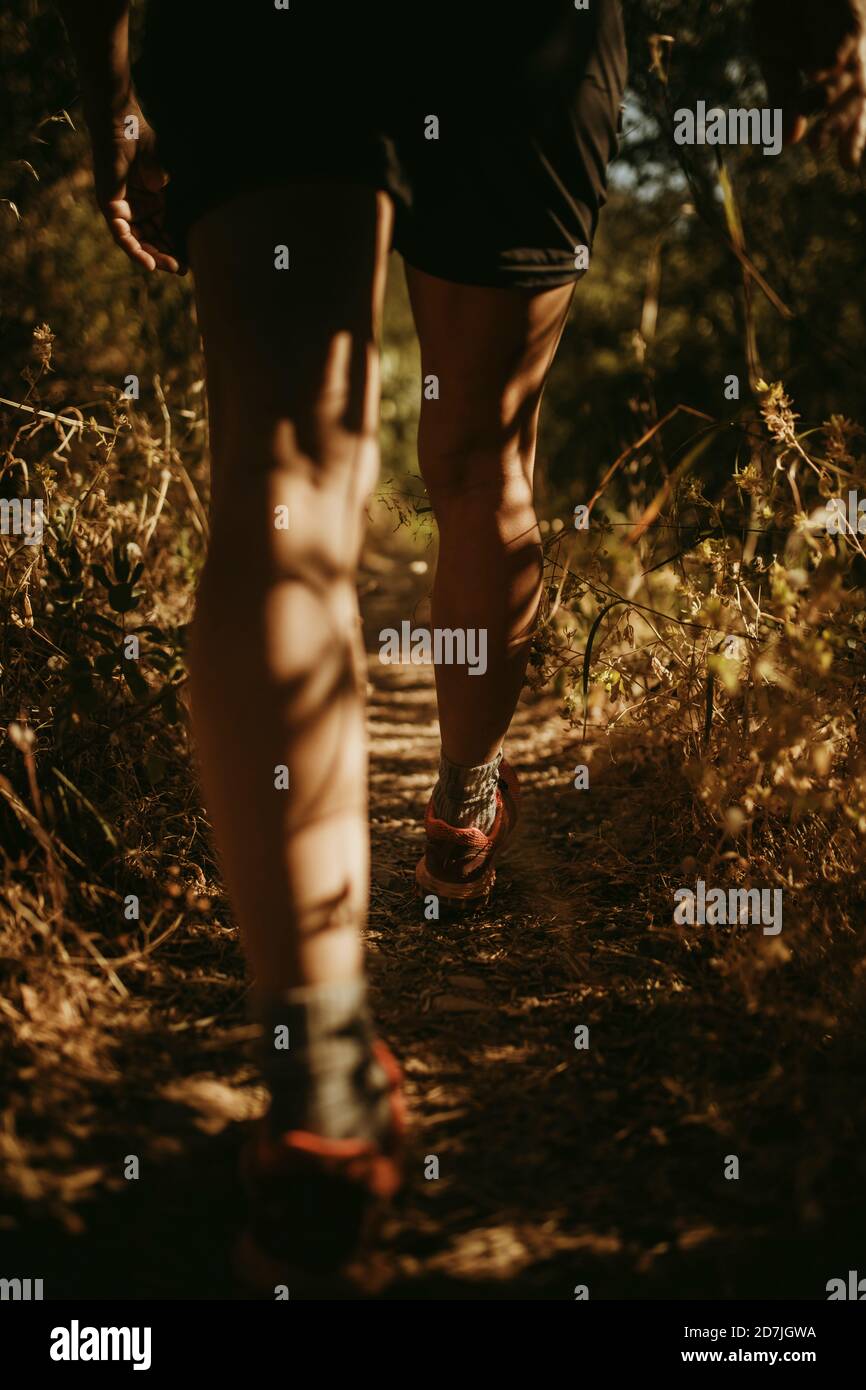 Person walking narrow path hi-res stock photography and images - Alamy