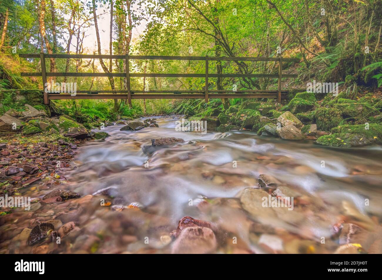 Wooden bridge in shallow hi-res stock photography and images - Alamy