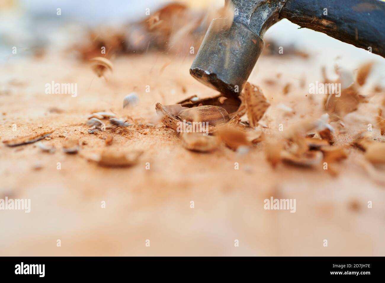 Breaking plant hi-res stock photography and images - Alamy