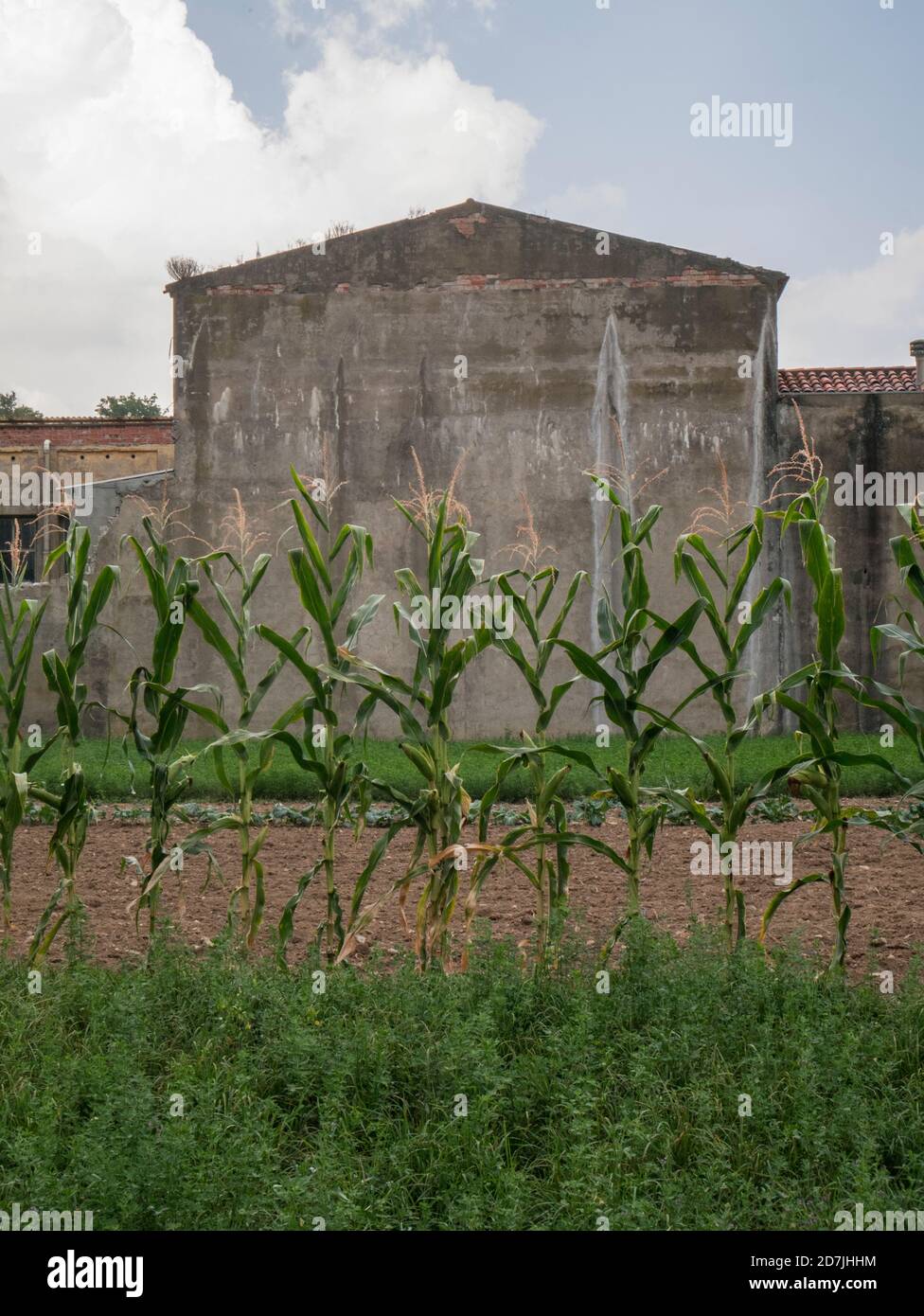 Corn house hi-res stock photography and images - Alamy