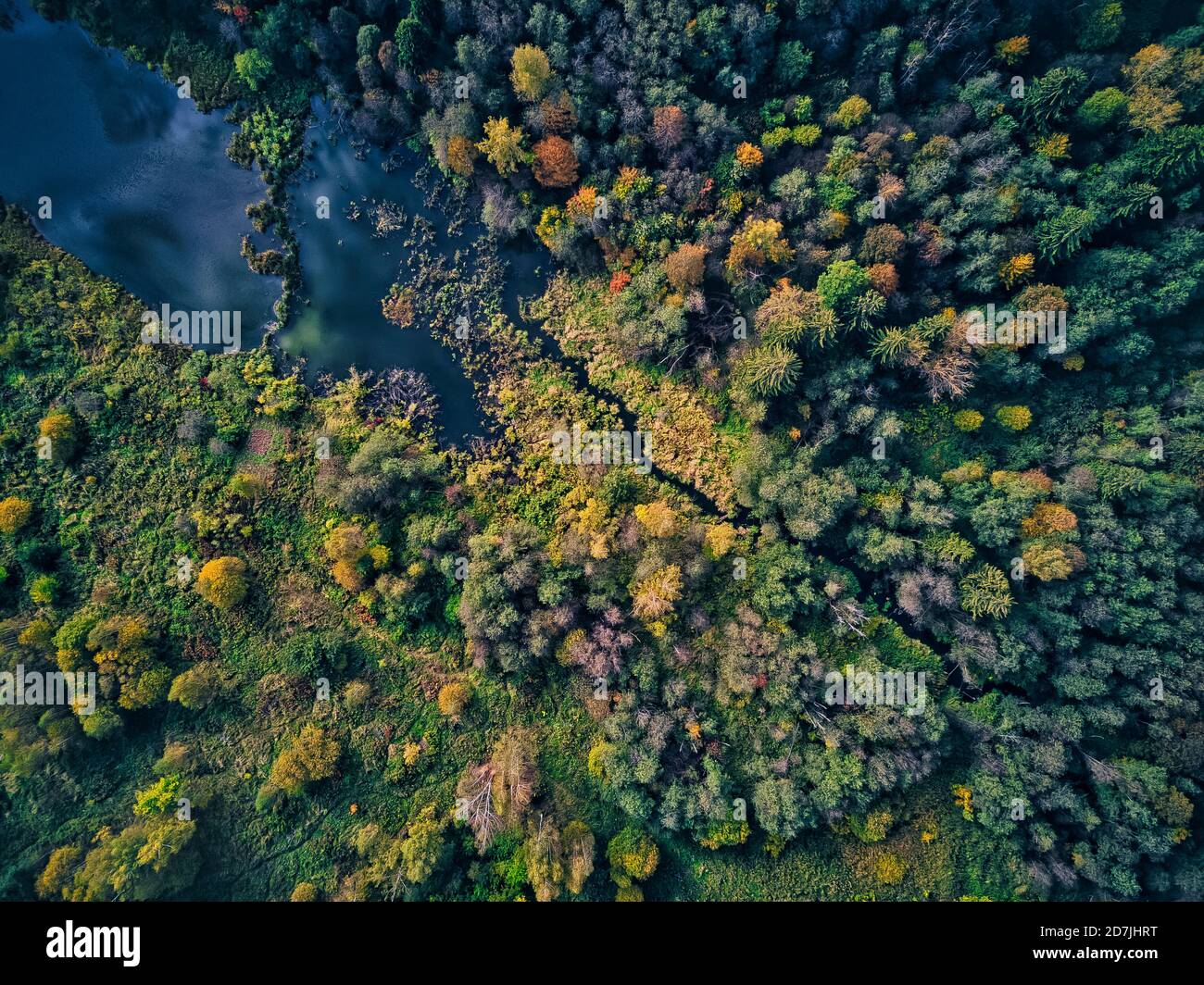 Tranquil scene environment hi-res stock photography and images - Alamy