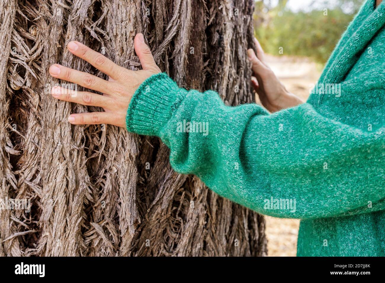 Touching tree hi-res stock photography and images - Alamy