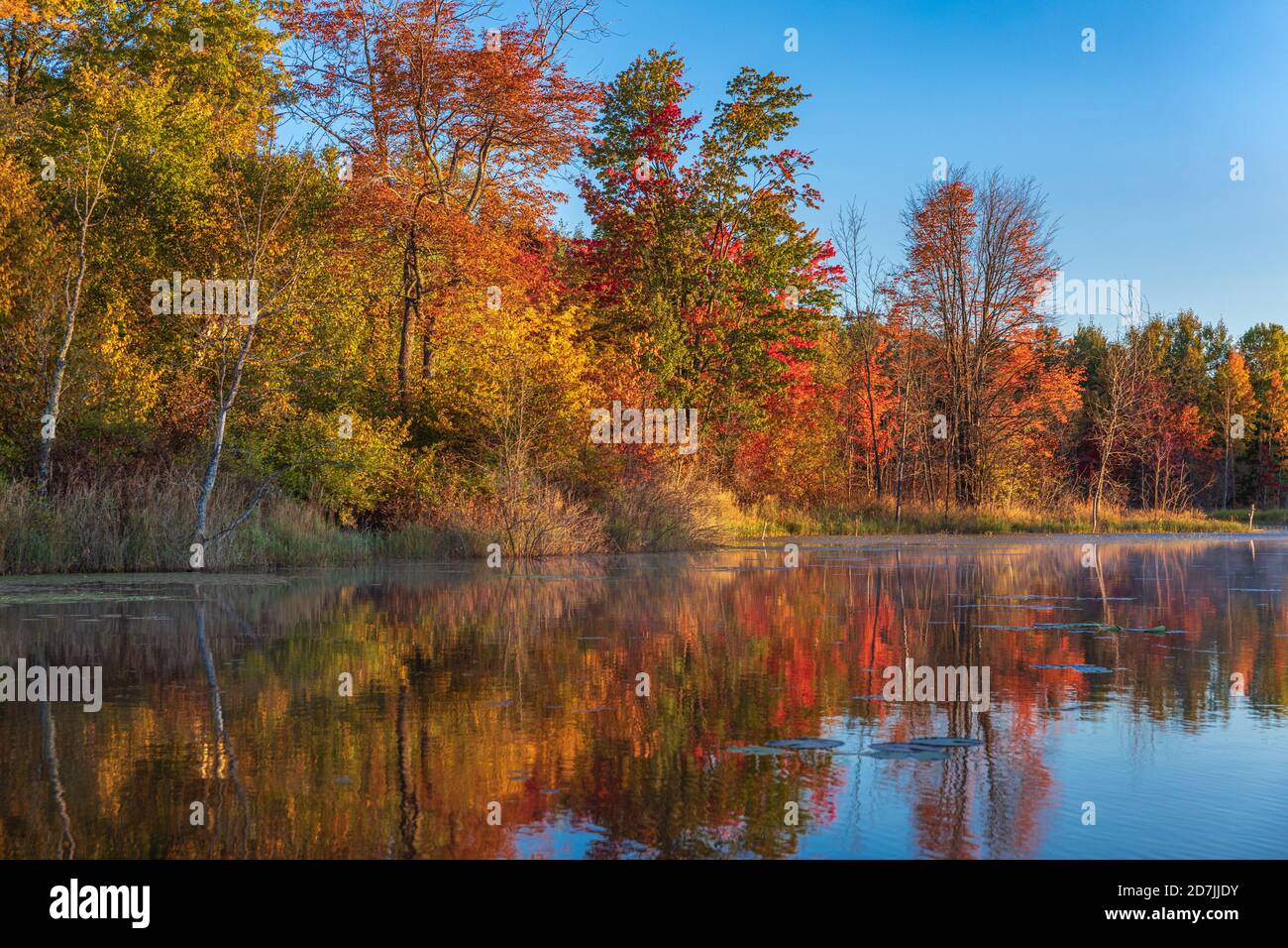 Fall colors on a wilderness lake in northern Wisconsin Stock Photo - Alamy