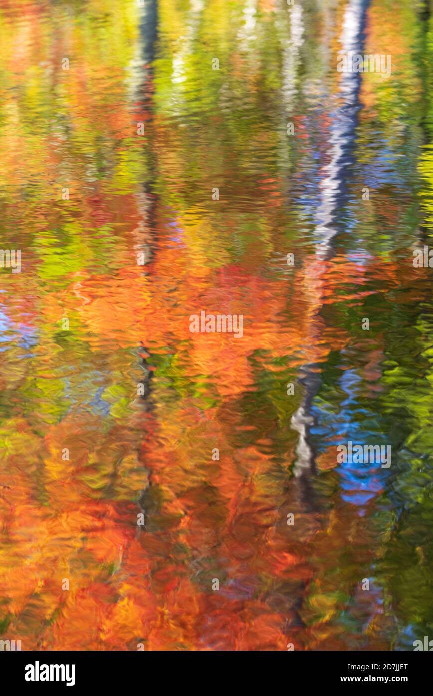 Autumn's colors reflected in a body of water in northern Wisconsin ...
