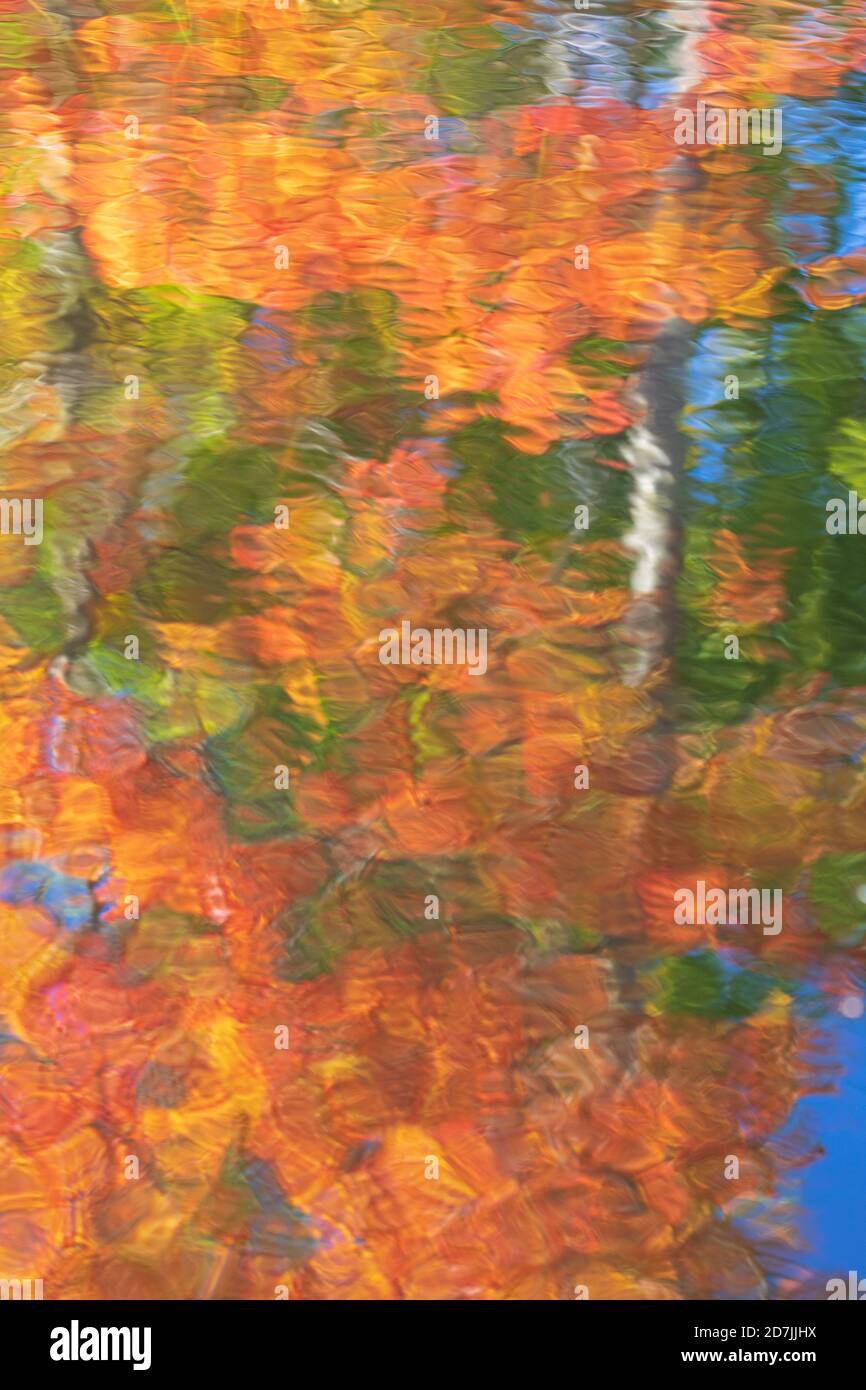 Autumn's colors reflected in a body of water in northern Wisconsin ...