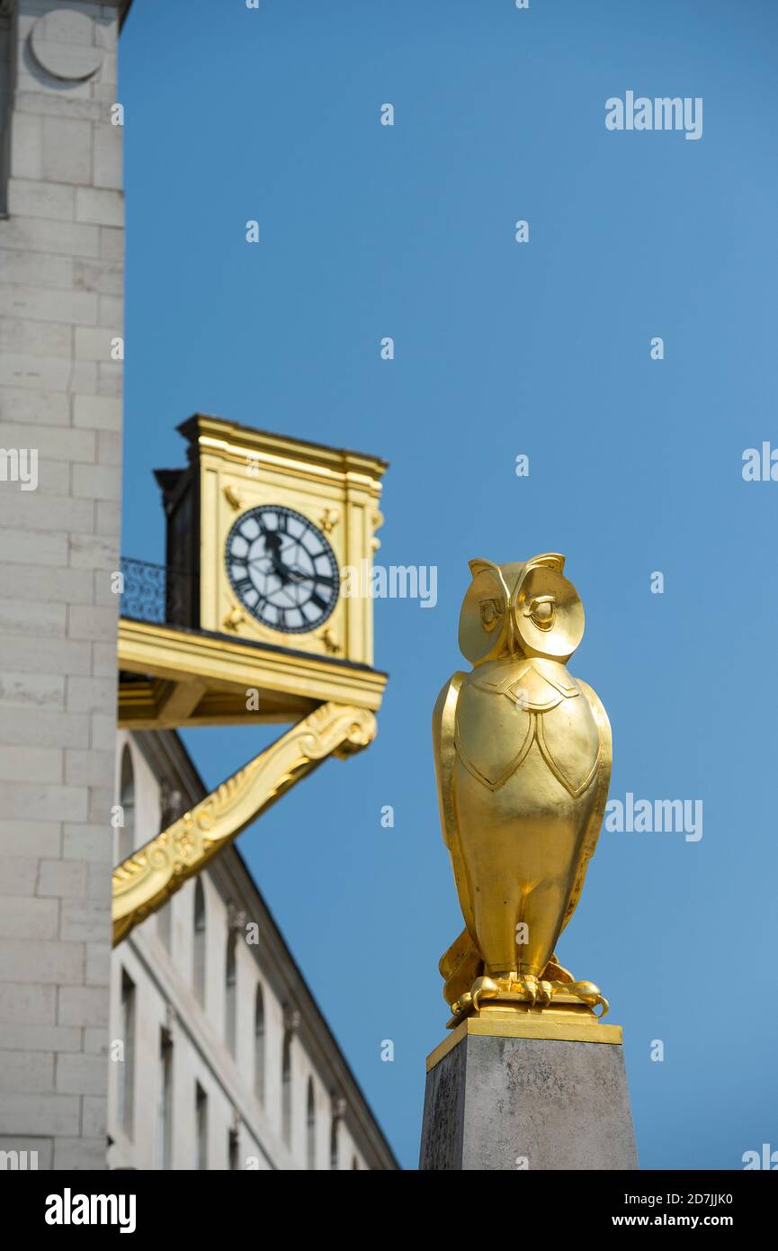 Gilded clock and owl on Leeds Civic Hall, Millennium Square, Leeds ...