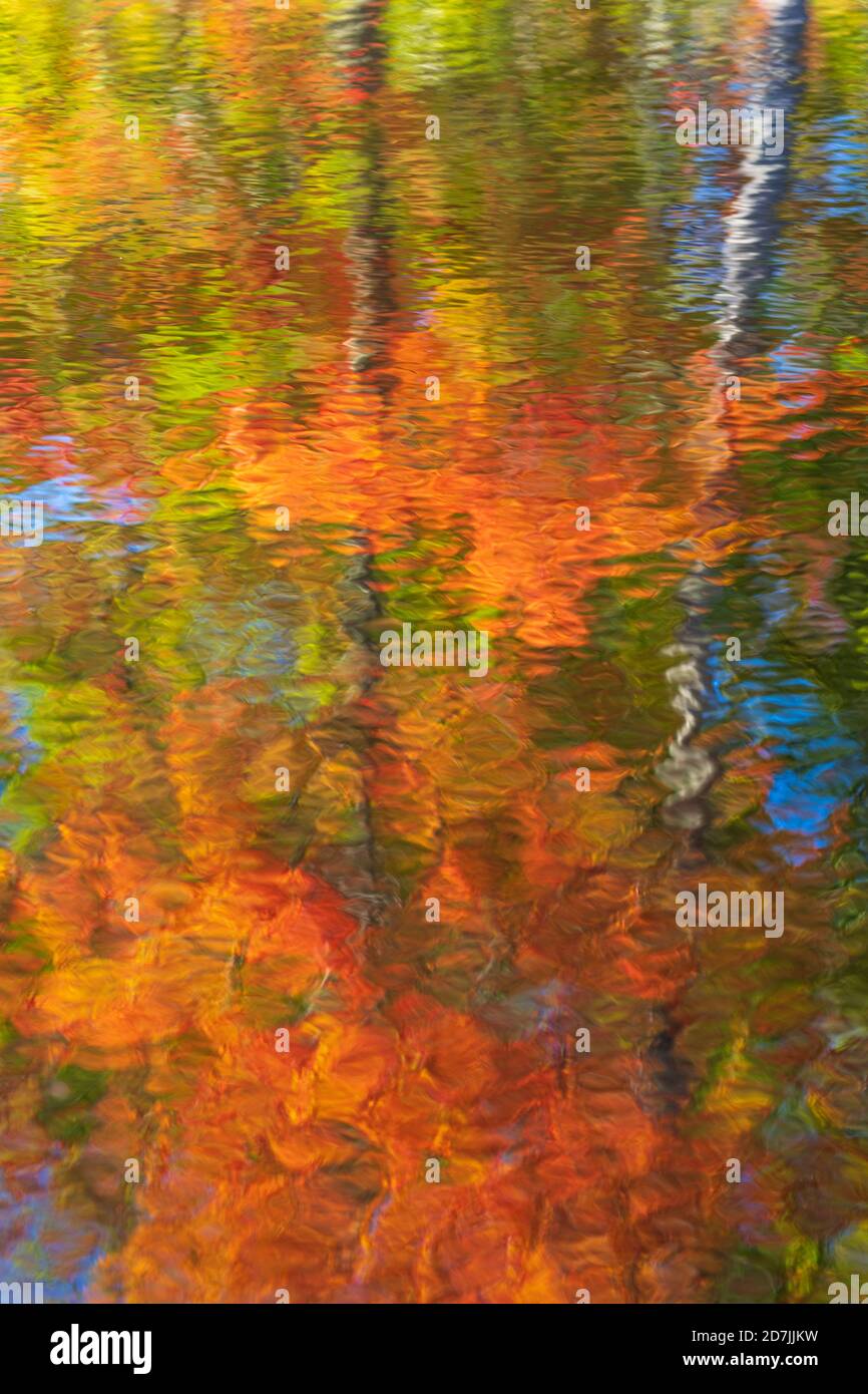 Autumn's colors reflected in a body of water in northern Wisconsin ...