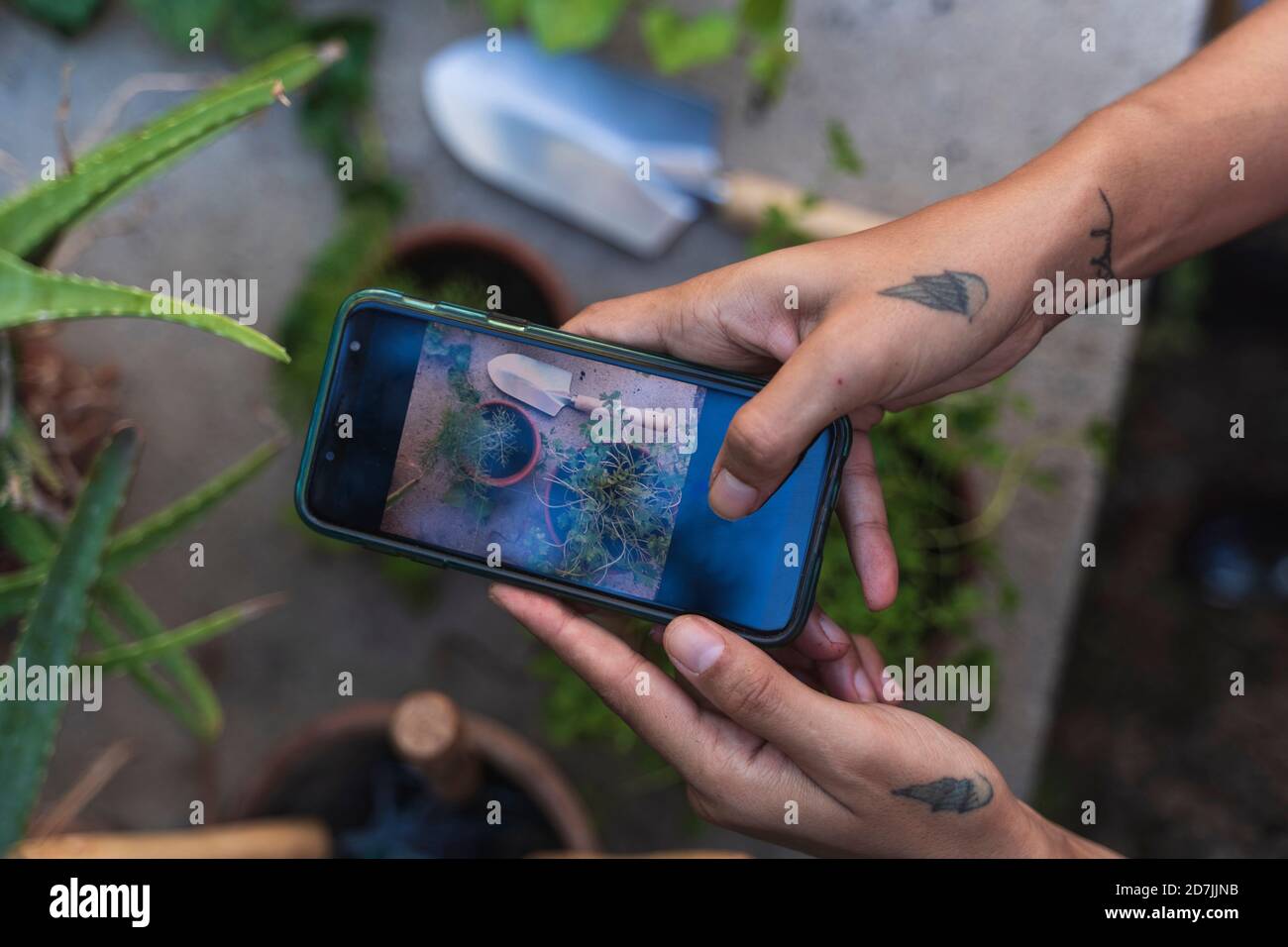 Hand fertilising hi-res stock photography and images - Alamy